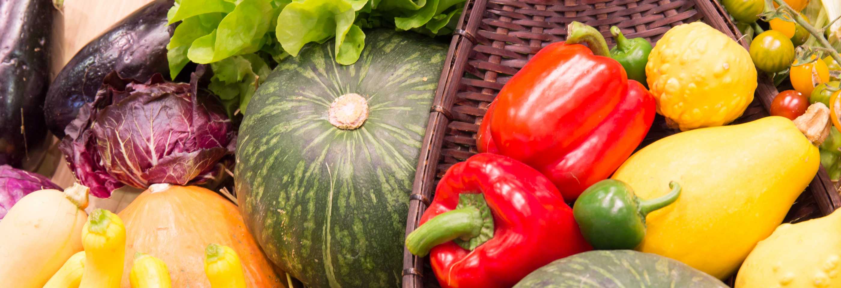 News - Piazza Produce